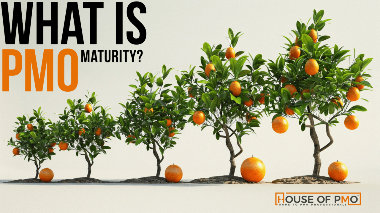 PMO Maturity Archives | House of PMO